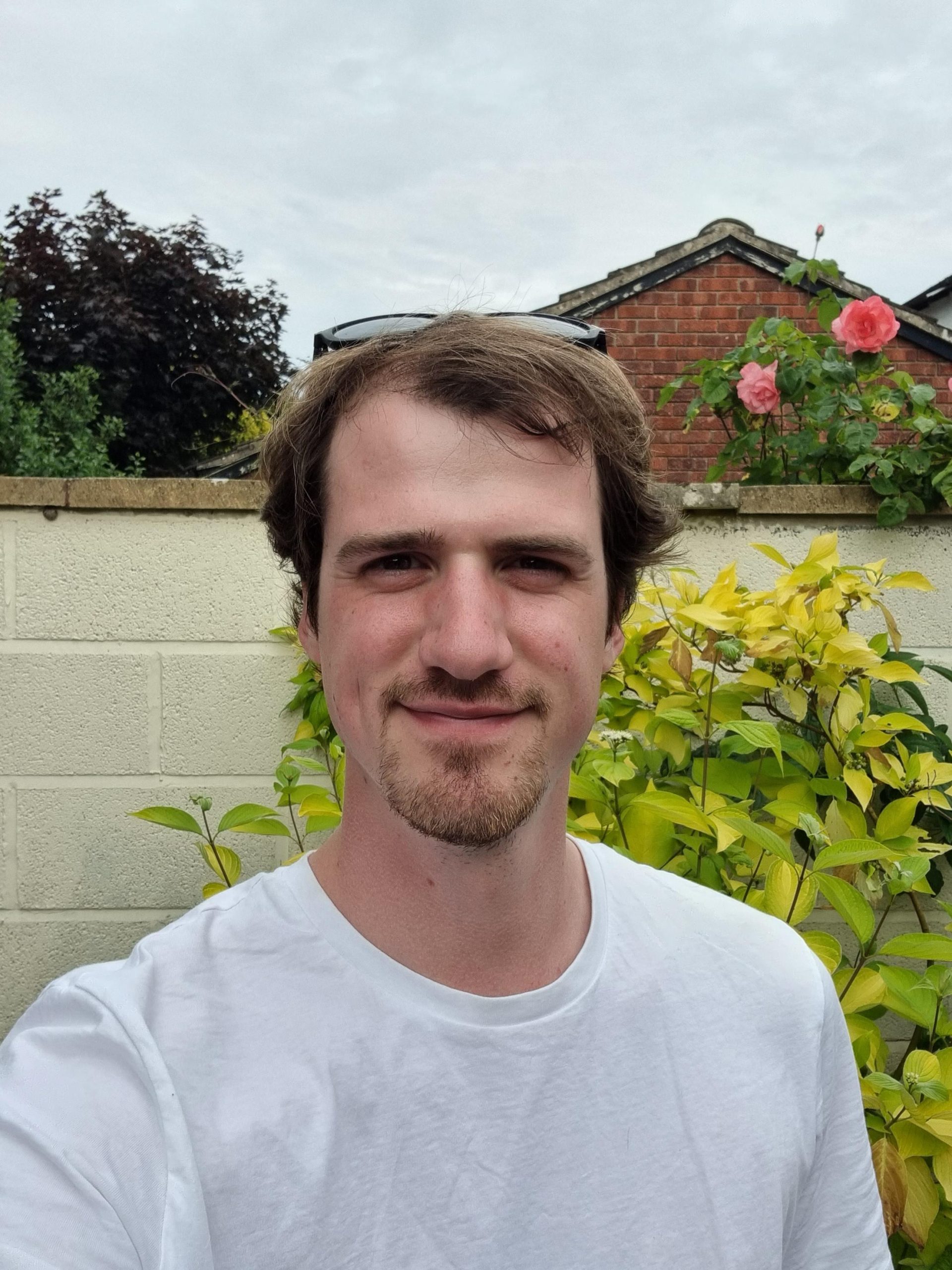 The Committee – Worle Operatic and Dramatic Society